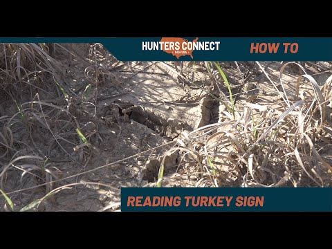 How to Read Turkey Sign