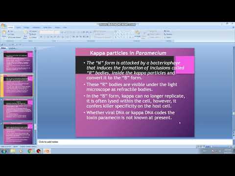 TN SAMACHEER CLASS-12 ZOOLOGY SEX LINKED INHERITANCE PART 9 KAPPA ...