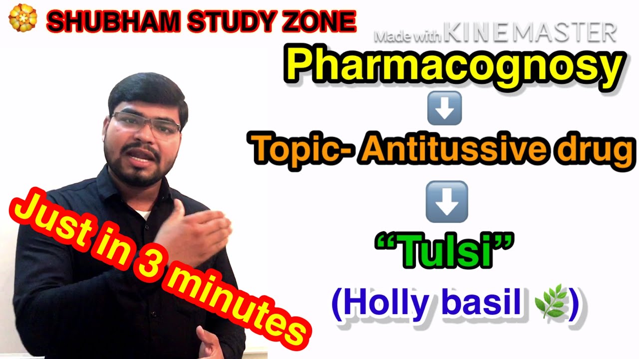 Tulsi Antitussive drug in Pharmacognosy full explanation most important ...