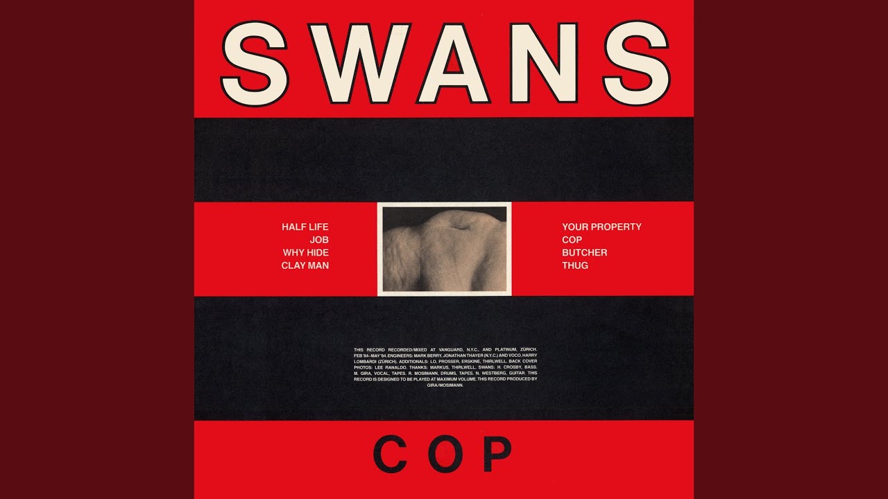Cop YouTube cop-youtube