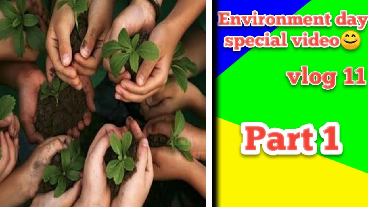 World Environment Day Special 🌴🌳🌲🍃🌱vlog11 (Part 1) - YouTube