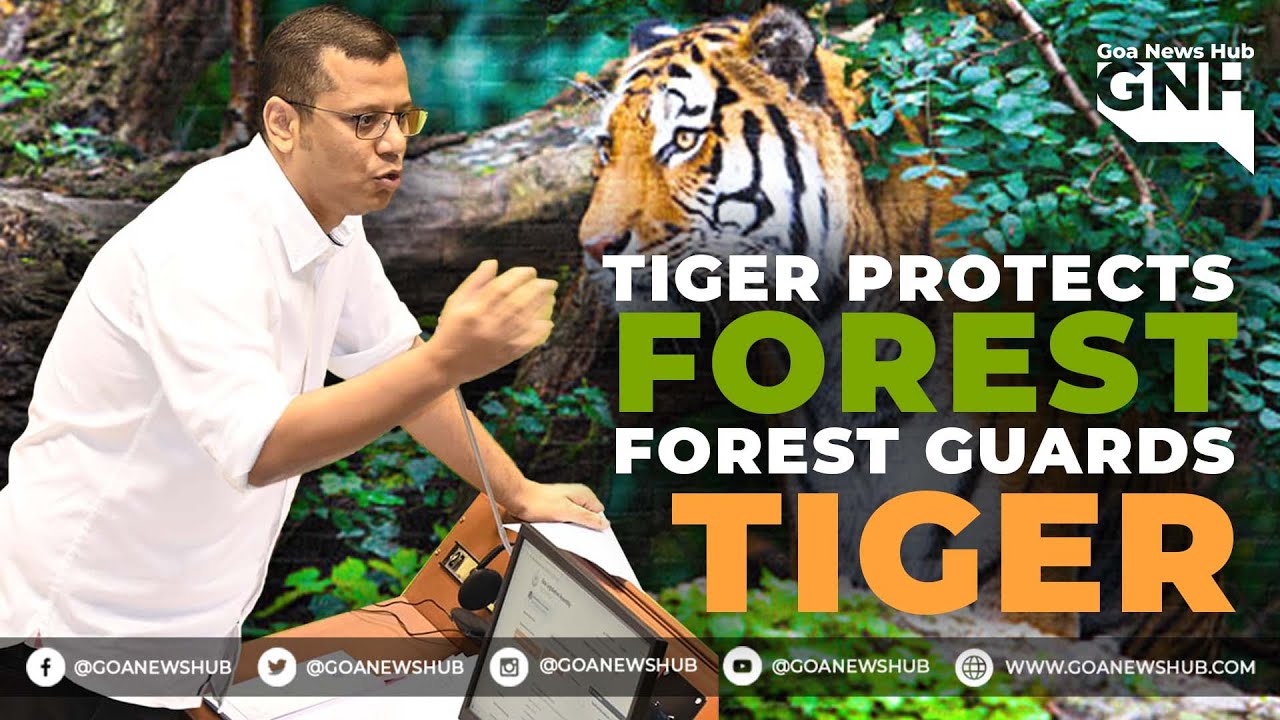 TIGER PROTECTS FOREST, FOREST GUARDS TIGER - YouTube