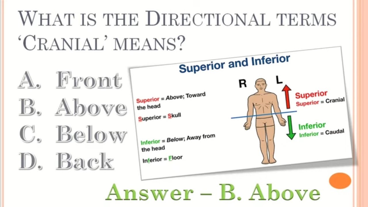 Medical coding interview Question and Answer - Part 4 #medicalcoding # ...