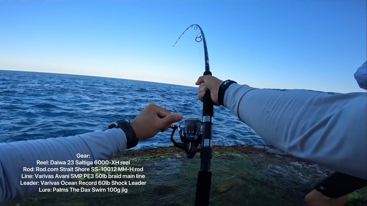 Expect the unexpected when Autumn Rock Fishing! Shore Casting | Shore Jigging NSW, Australia ...