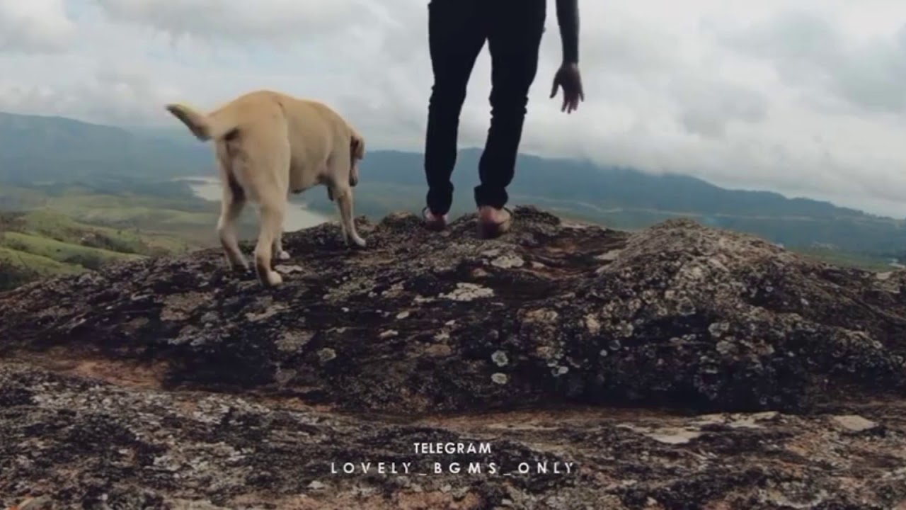 Middle class sad whatsapp status 😭😭😭// ALL STATUS AVAILABLE// - YouTube