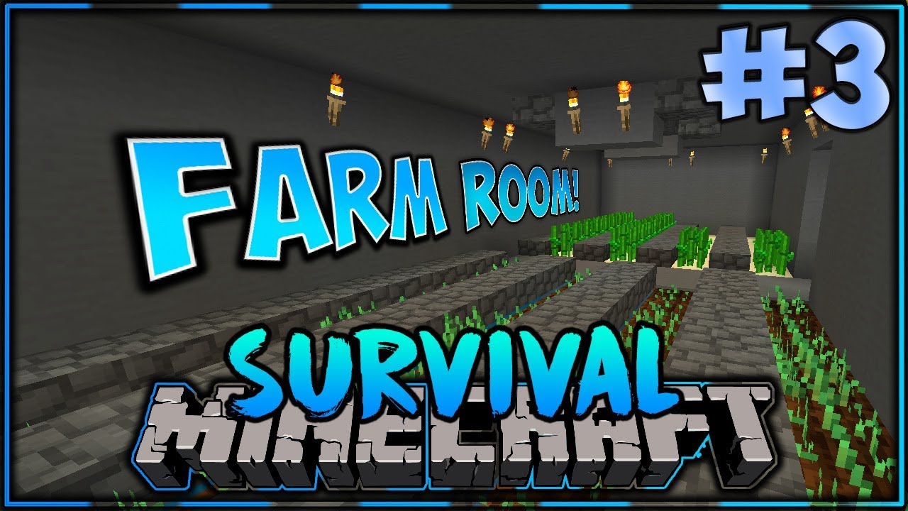 NEW FARM ROOM!! - Minecraft SURVIVAL S2 #3 - YouTube
