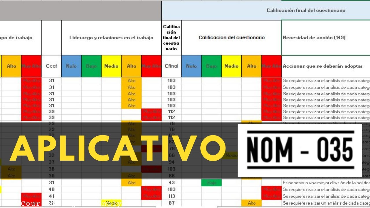 NOM 035 en Excel Guías de Referencia para Determinar Grado de Riesgo para su implementación ...