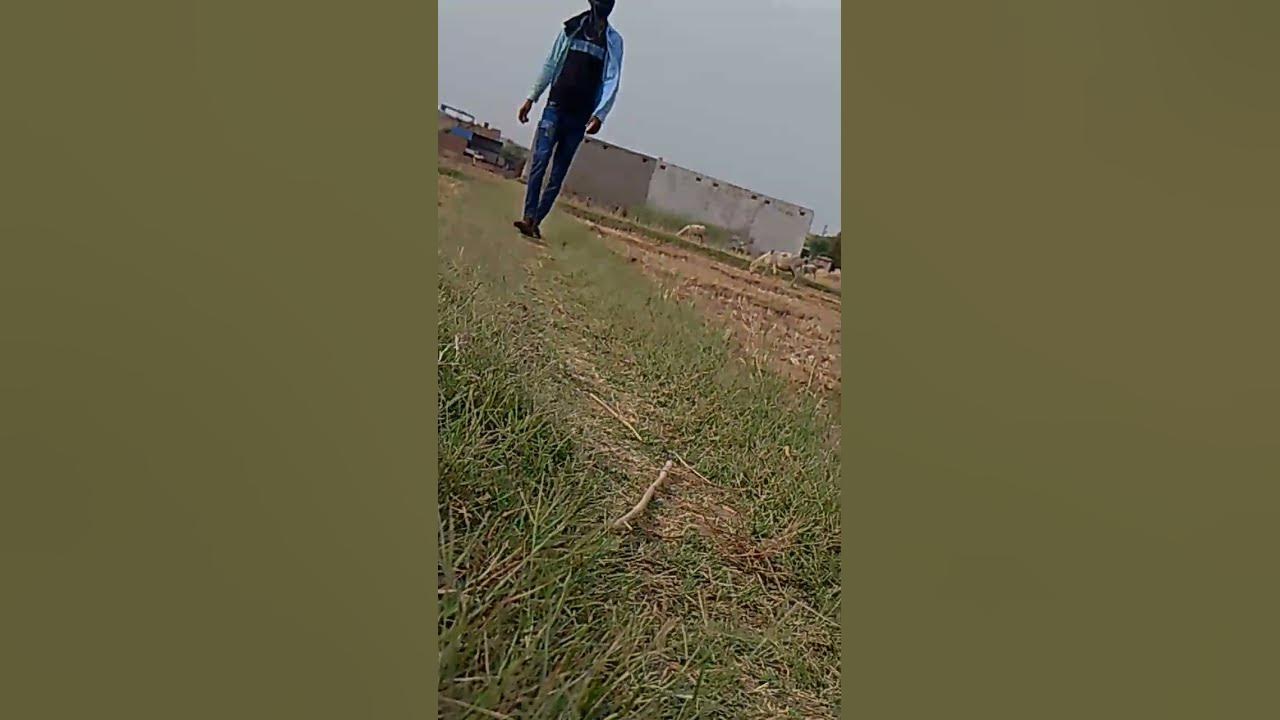 3 April 2024 - YouTube