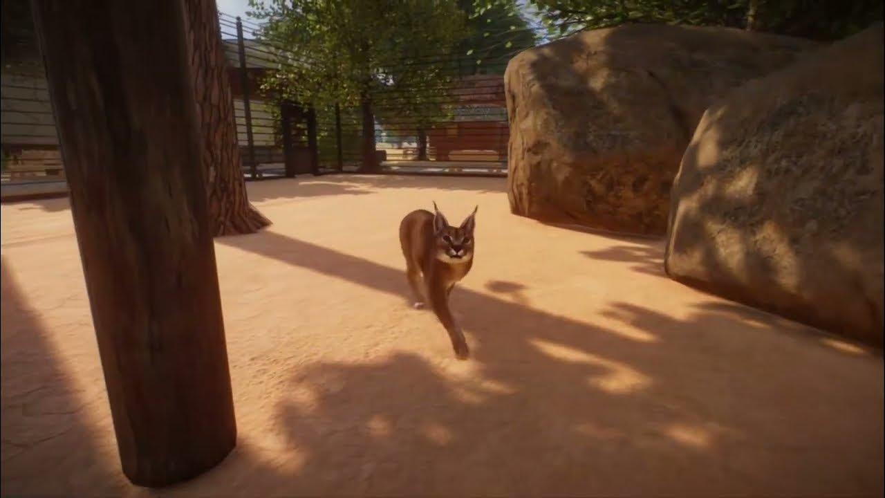 Caracal Habitat || Planet Zoo Speed Build - YouTube