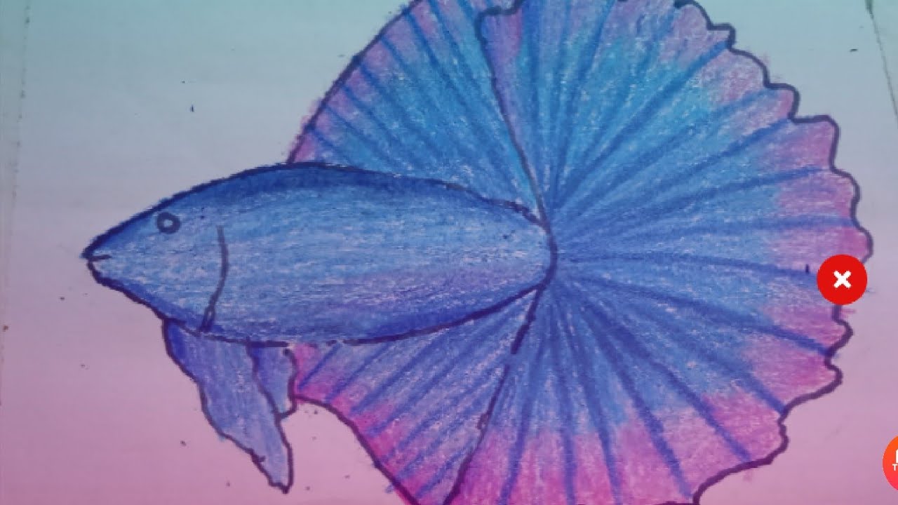 how to draw batta fish step by step for beginners - YouTube