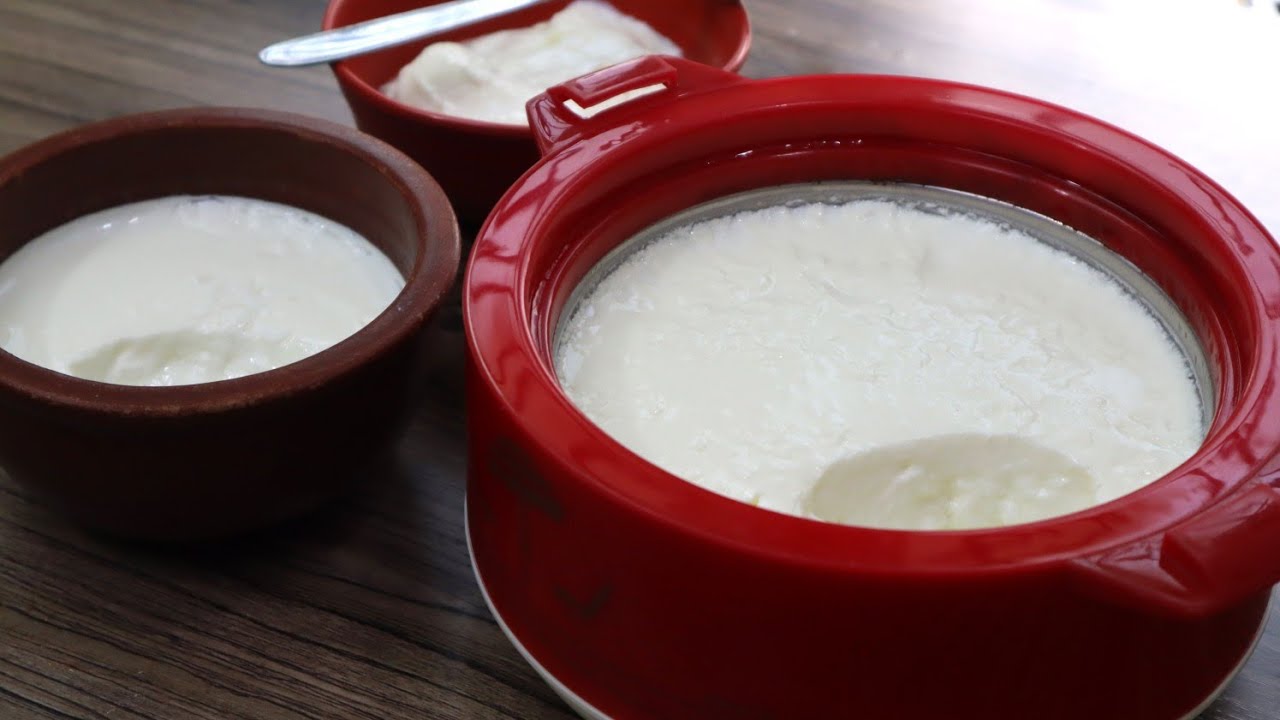 നല്ല കട്ട തൈര് കിട്ടാൻ ഇതുപോലെ ചെയ്‌തു നോക്കൂ | Homemade Thick Curd ...