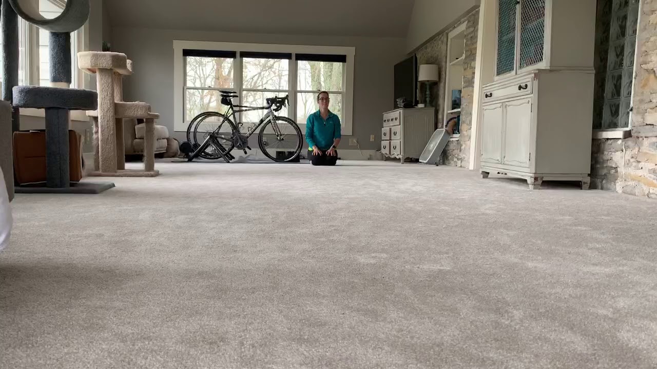 AKC Trick Title - Intermediate - Fetch 20+ feet - YouTube