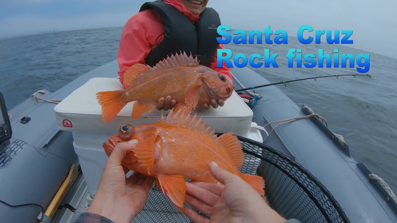 Santa Cruz Rock Fishing - LIMITS! - July 13, 2020 - YouTube