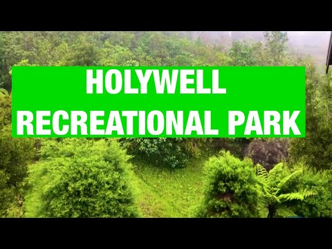 A TOUR OF HOLYWELL RECREATIONAL PARK IN JAMAICA - YouTube