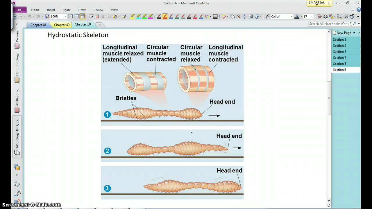 AP Bio - Chapter 50 Video 3 - YouTube