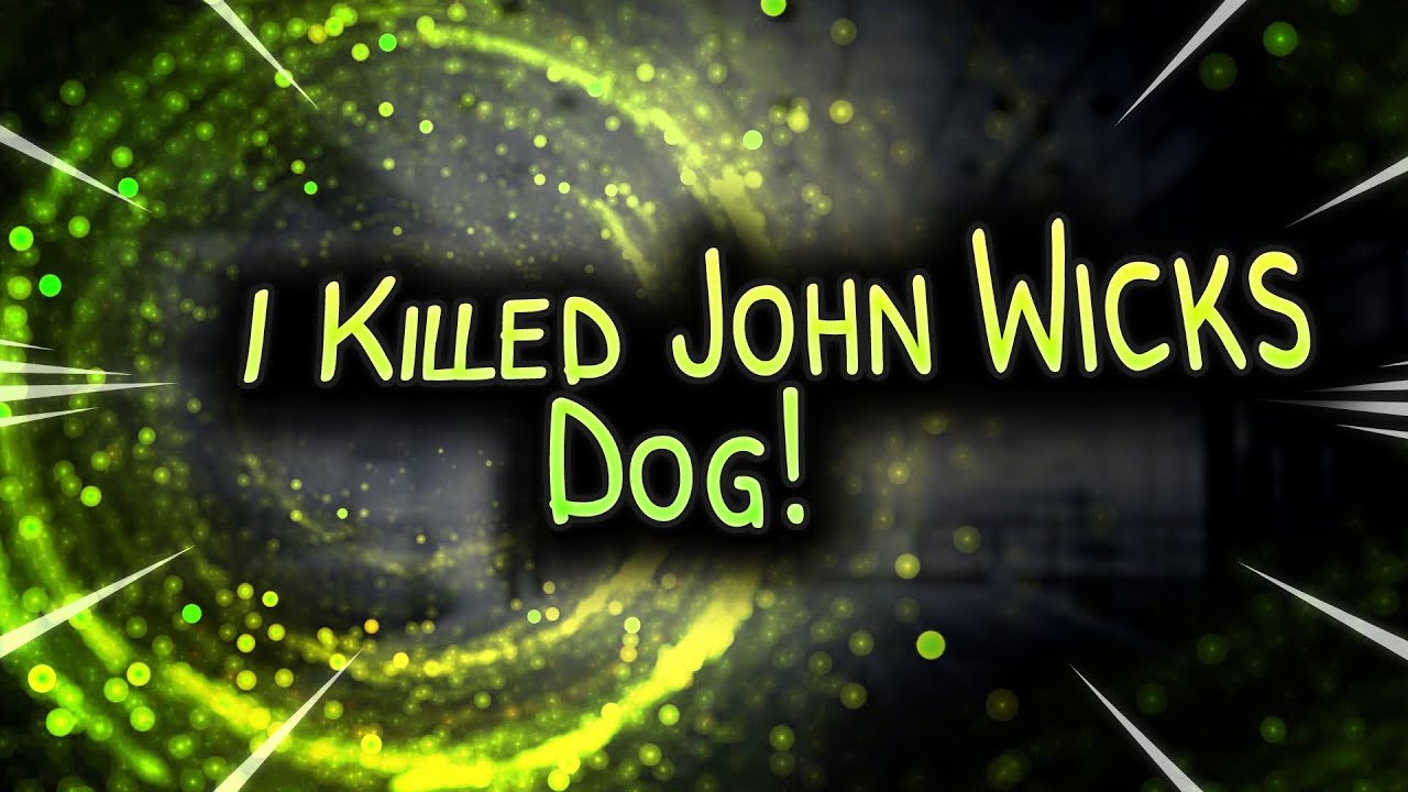 I Killed John Wicks Dog! - YouTube