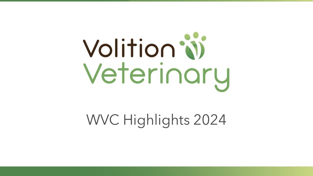 Highlights from WVC 2024 - YouTube