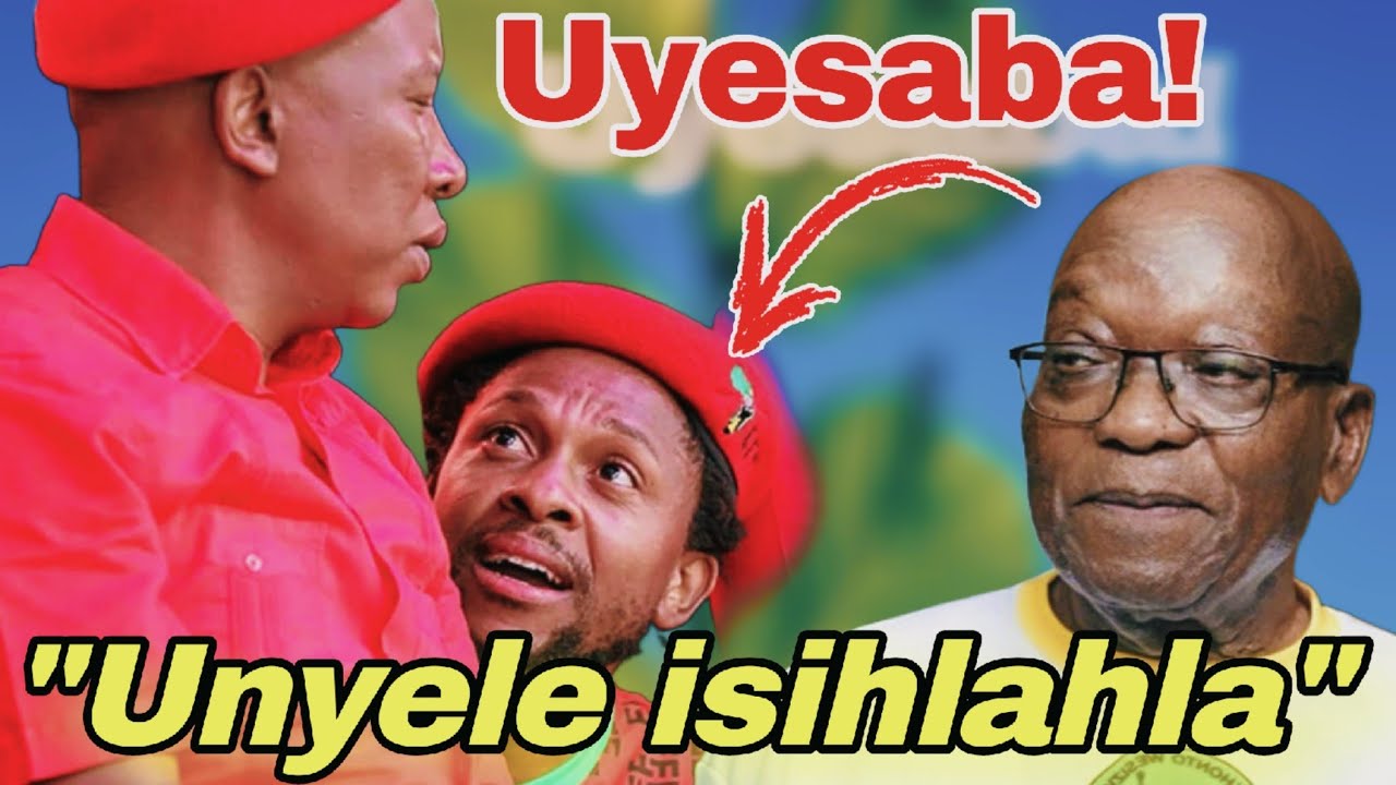 Isizathu Esenza uNdlozi Asabe UkuJoin uMkhonto Wesizwe(Uyasaba Wanyela ...