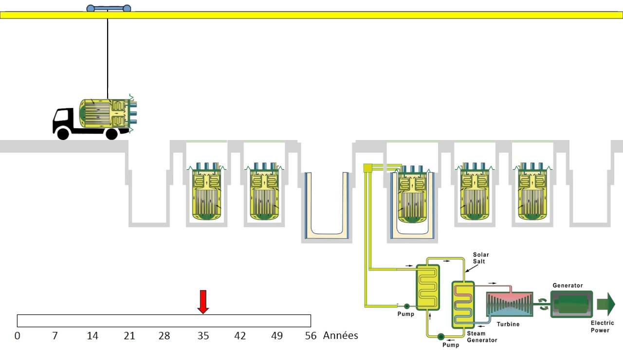 Animation IMSR - YouTube