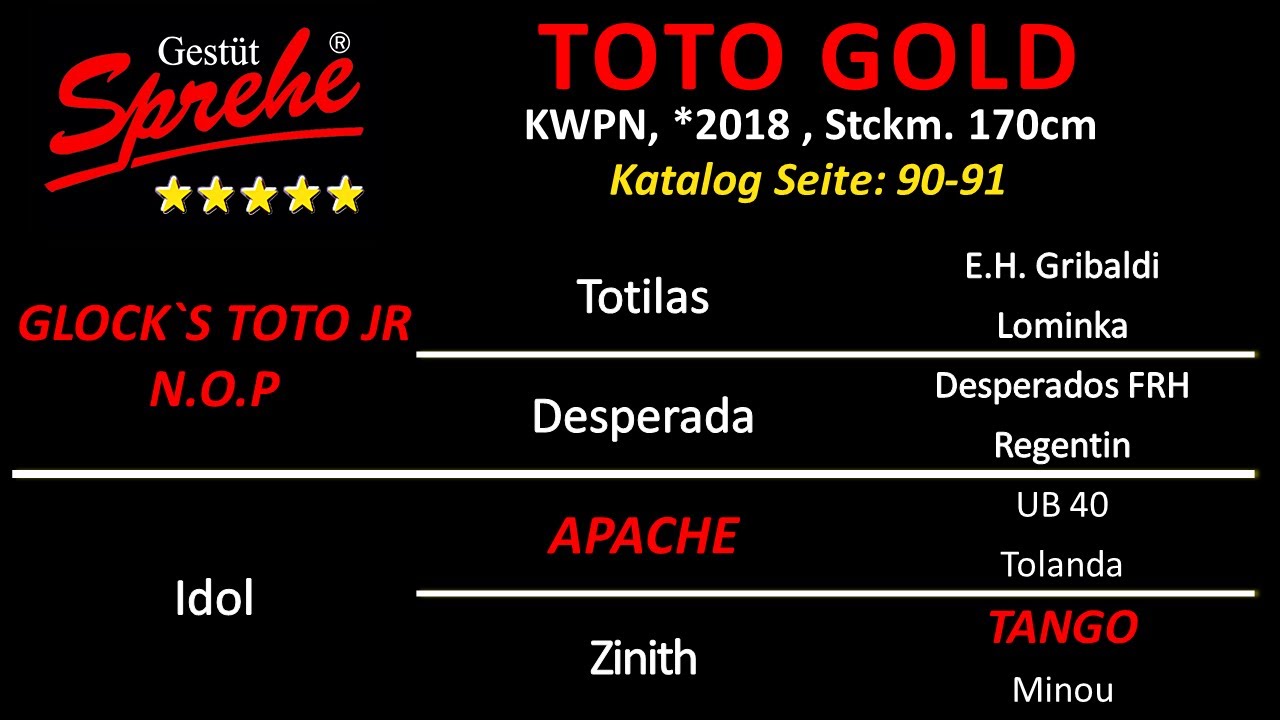 Toto Gold v. Glock´s Toto Jr. - Apache - Tango - YouTube