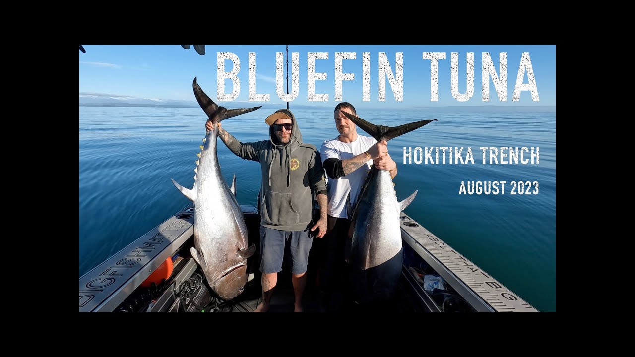 Bluefin Tuna in the dogbox - Hokitika Trench South Island New Zealand - DNA Boats 630XHT - YouTube