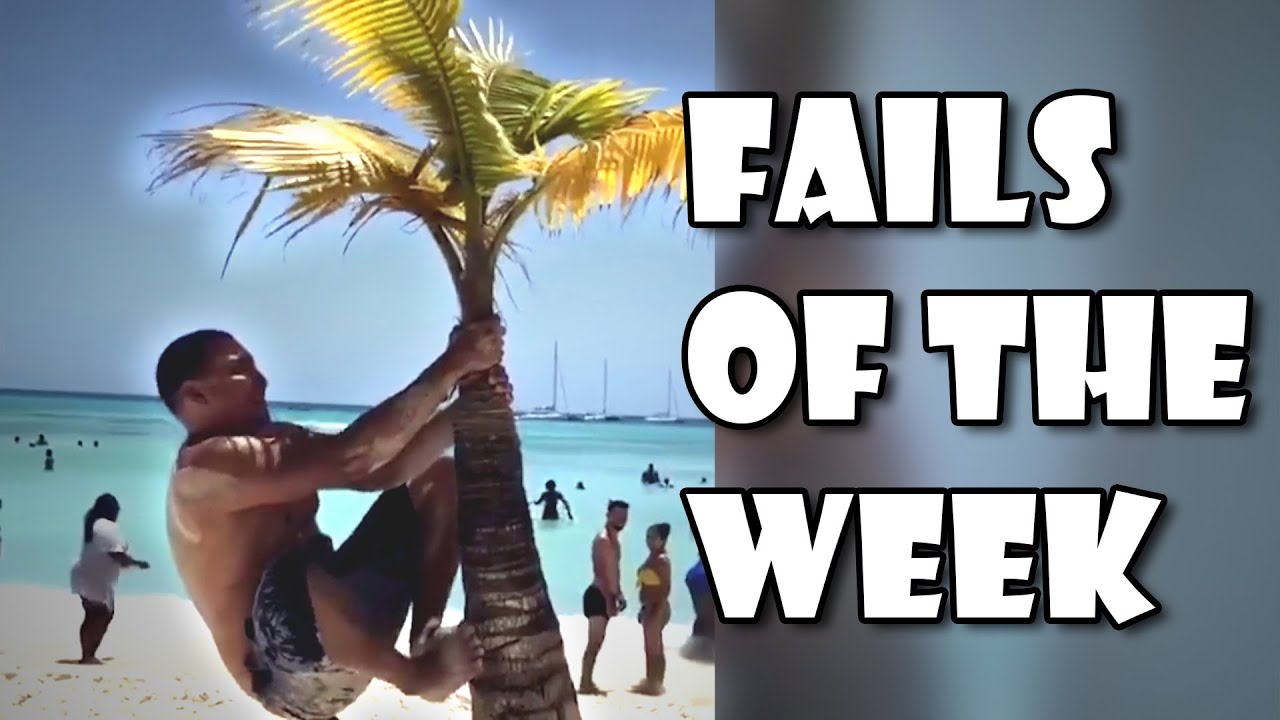 Fails of The Week - Best Weekly Funny Fails Compilation November 2019 ...