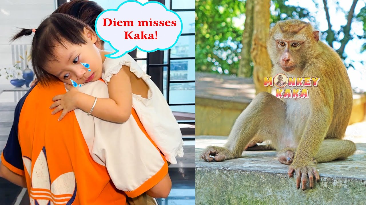 Mother comforts sad Diem when remembering Monkey Kaka - YouTube