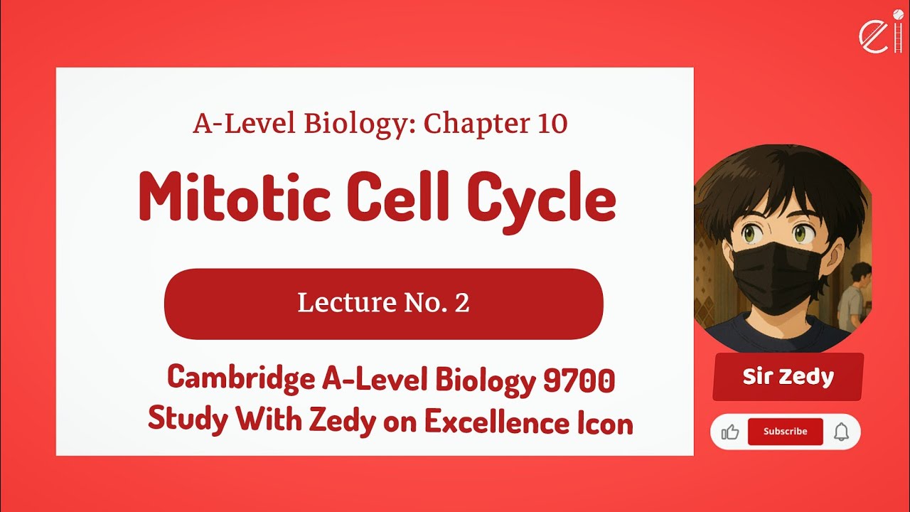 5.1b Importance Of Mitosis And Interphase | Mitotic Cell Cycle | AS ...