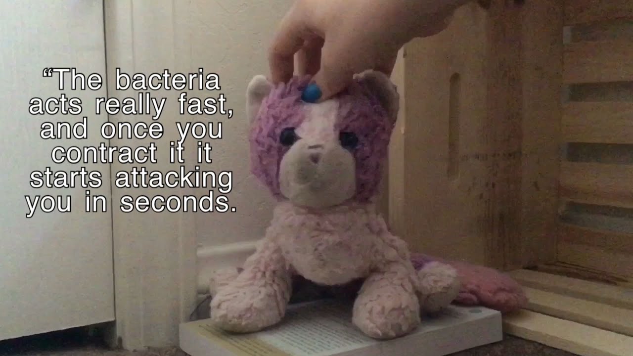 The Rose Killer (A Fake Disease) | Webkinz Short Film - YouTube
