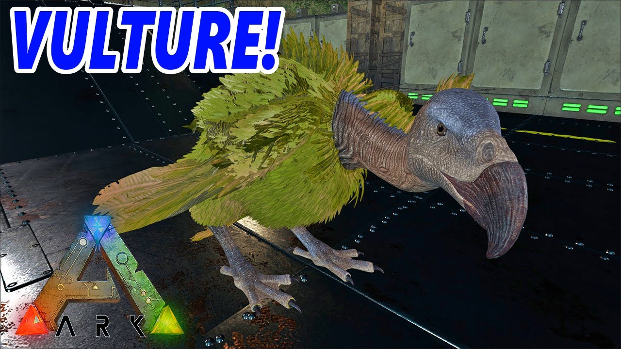 ARK: Survival Evolved - Laboratório de Genética DúDan: VULTURE COM ...