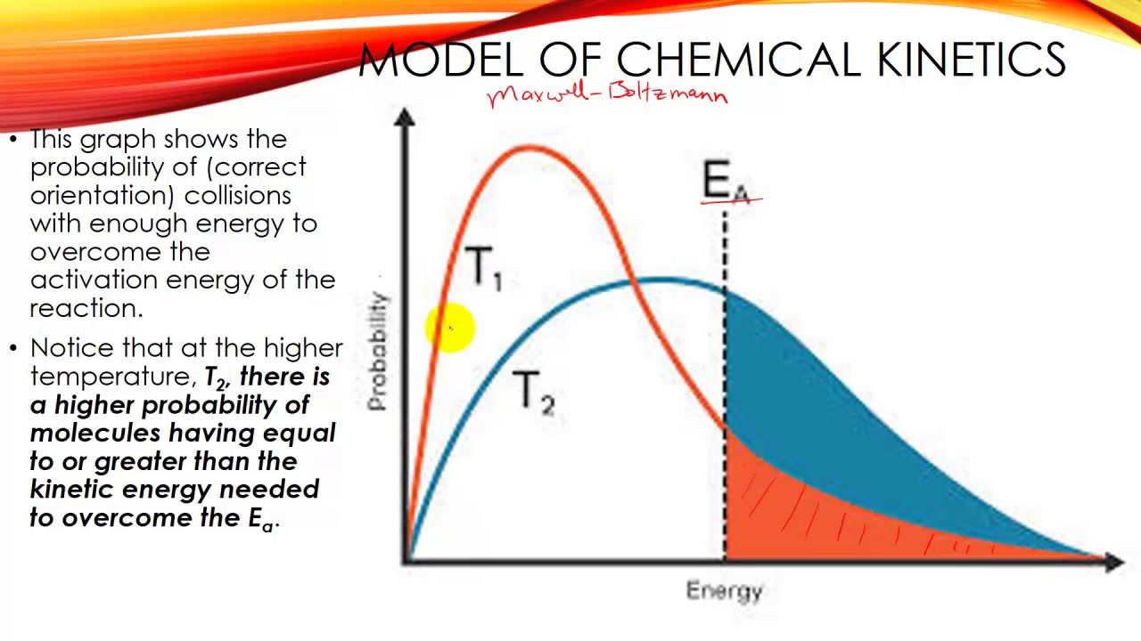 Maxwell Boltzmann Distribution - YouTube