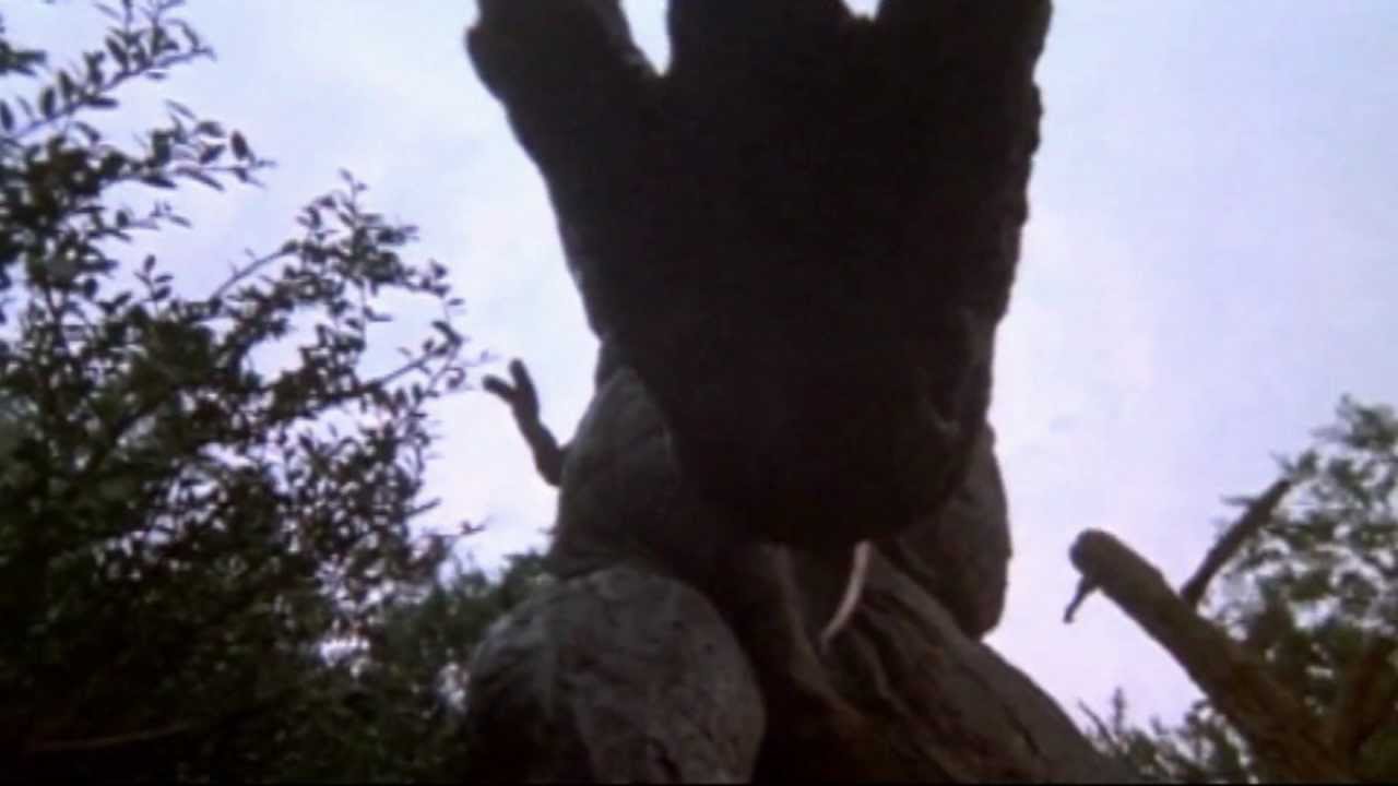 T Rex Feet Sole Stomp - YouTube