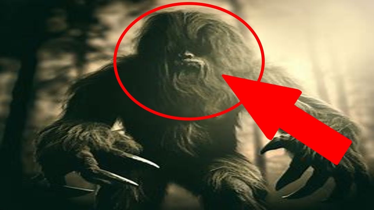 Top 10 Cryptids That Will Make Your Skin Crawl - YouTube