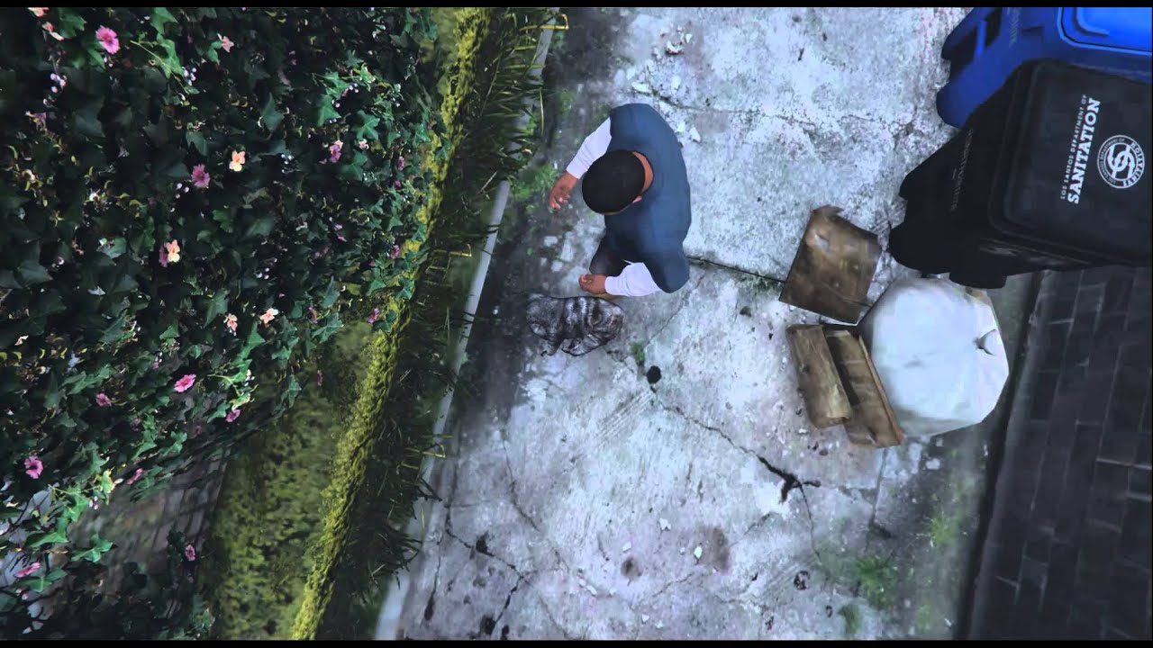 Cat be stomped! - YouTube