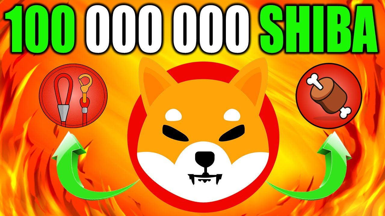 Всего 100 000 000 Токенов Shiba Inu Сделают Миллионером - Успей Купить SHIB - YouTube