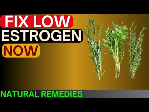 Boost Your Estrogen Naturally with These 14 Herbs | Sundrg Health
