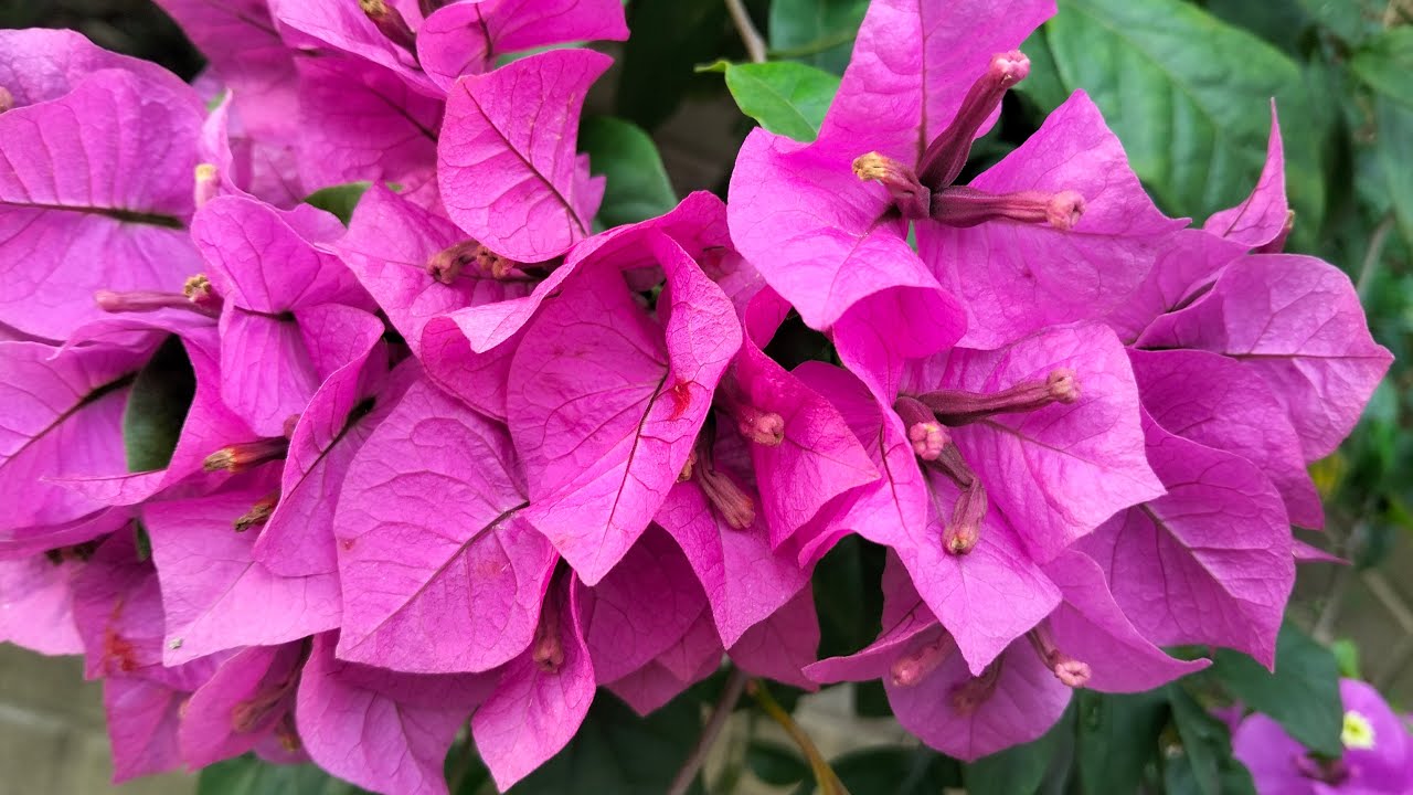 PO48 SLS START YOUR DAY WITH POSITIVE ENERGY AND HAPPY THOUGHTS. - YouTube