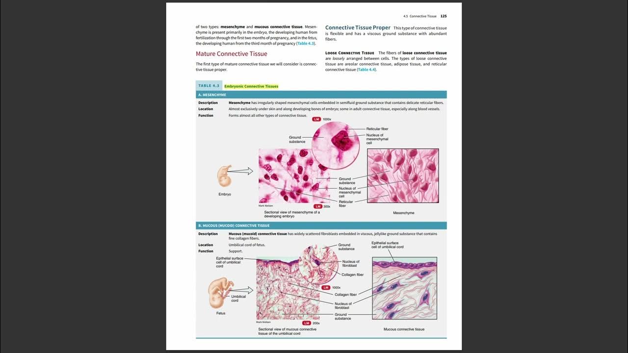 Biology Lec.8 - YouTube