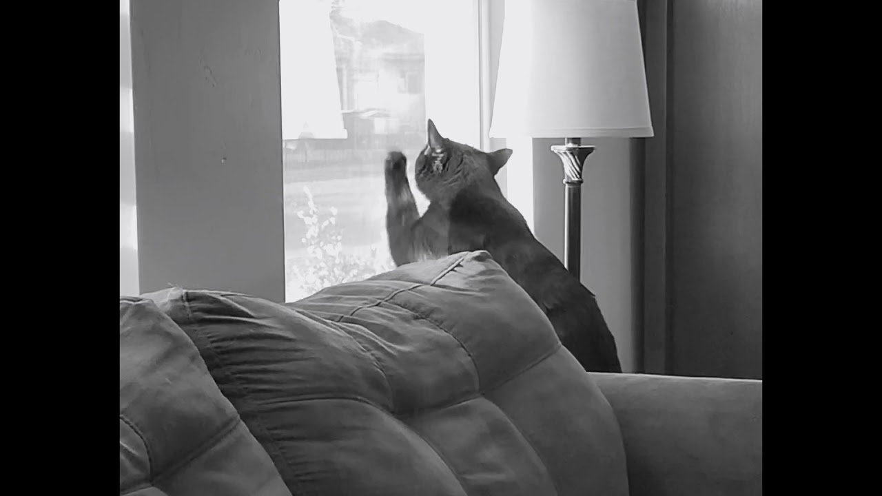Window Scratching - YouTube