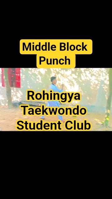 Taekwondo Middle block Punch #shortsart #martialarts - YouTube