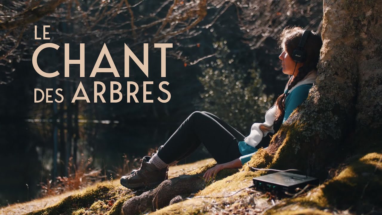 Le Chant des Arbres - YouTube