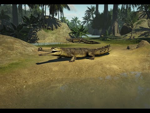 Gharial Enclosure Build - Planet Zoo #14 - YouTube