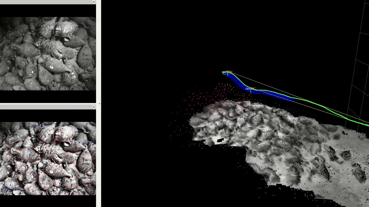 Visual-Inertial-Pressure SLAM with online dense 3D mapping on an ...