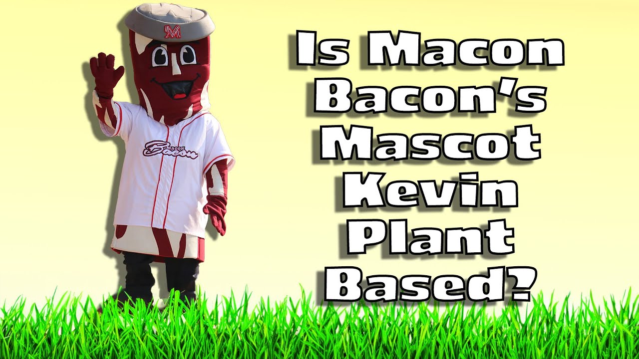 Organization Asks Baseball Team Macon Bacon To Change Name And Mascot ...
