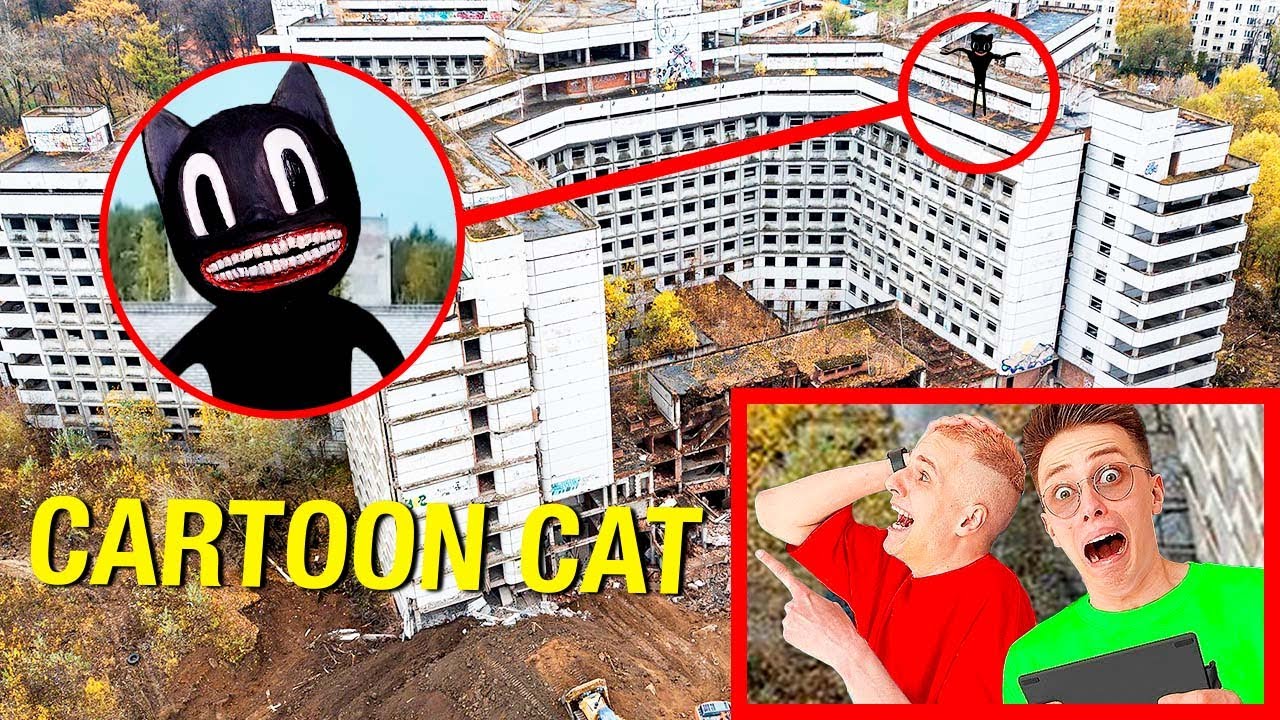 My DRONE caught CARTOON CAT on camera!! (WE FOUND HIM!) - YouTube
