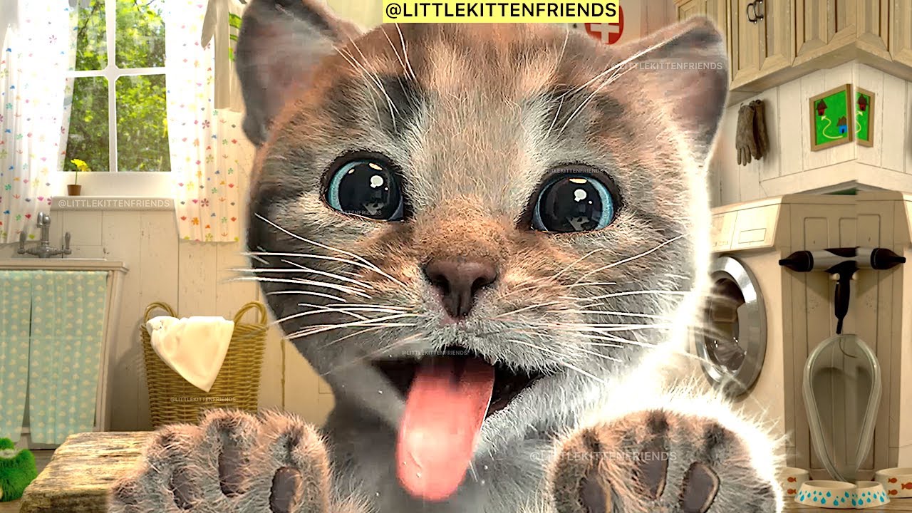 ADVENTURE OF A LITTLE KITTEN cartoon about Educational kittens -Cute ...