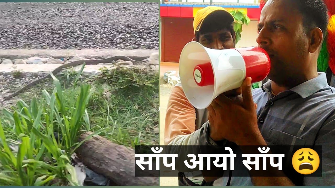 snake 🥶😓 vlog बनाउँदा बनाउँदै सर्पो 😪😓😓😓#vlog #snake #goviral #fyp # ...