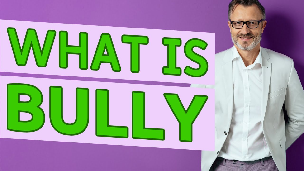 Bully Meaning Of Bully YouTube