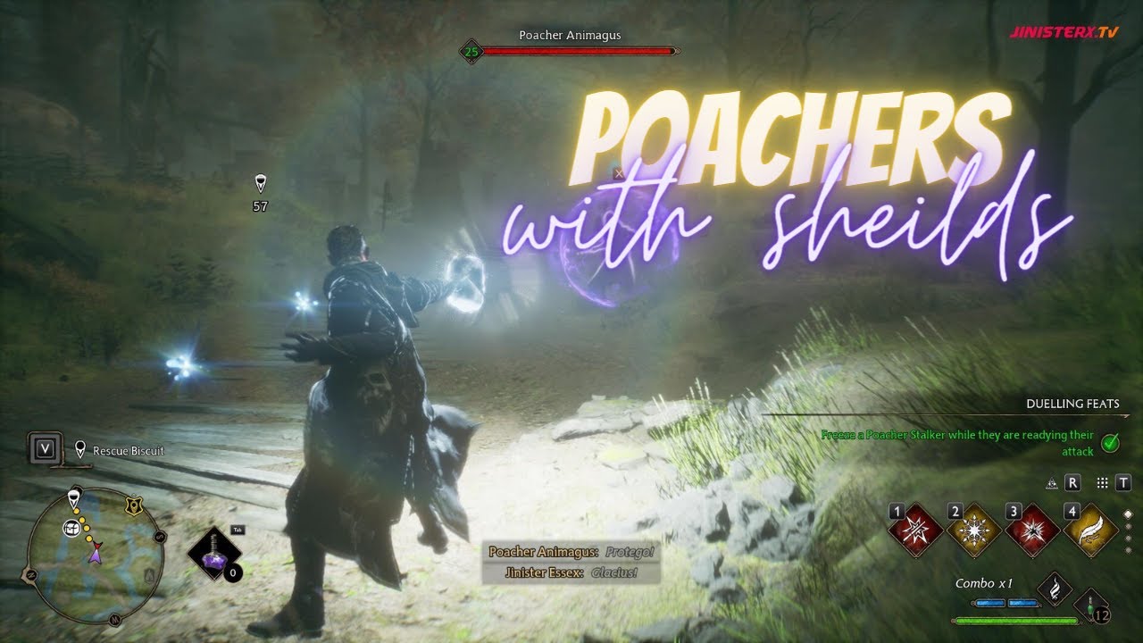 Fighting Poachers in Hogwarts Legacy - YouTube