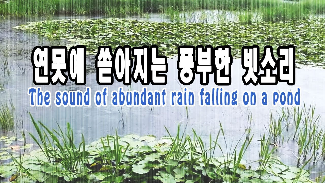 연못에 쏟아지는 풍부한 빗소리 / The sound of abundant rain falling on a pond / 10분이면 ...